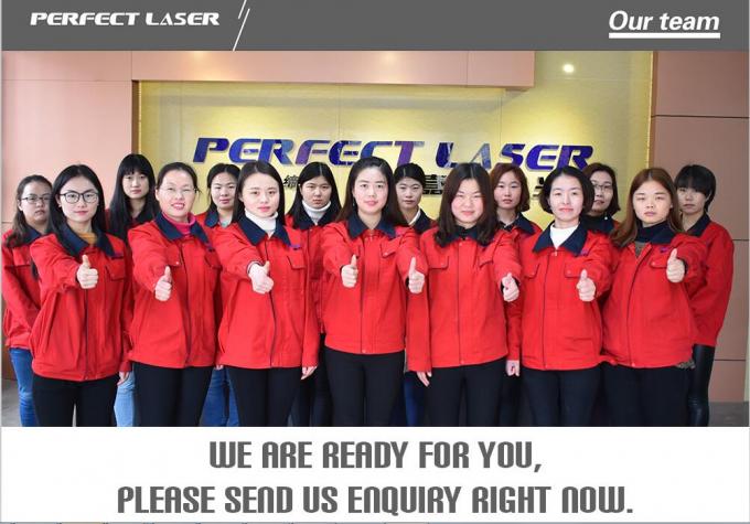 China Perfect Laser (Wuhan) Co.,Ltd. company profile