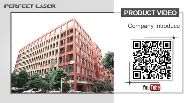 China Perfect Laser (Wuhan) Co.,Ltd. company profile