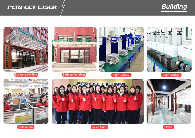 China Perfect Laser (Wuhan) Co.,Ltd. company profile